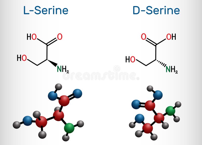 Serine, Ser Amino Acid Molecule. it is Used in the Biosynthesis of ...