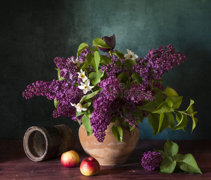 Seringen stock foto. Image of purper, decoratie, plantkunde - 41575412