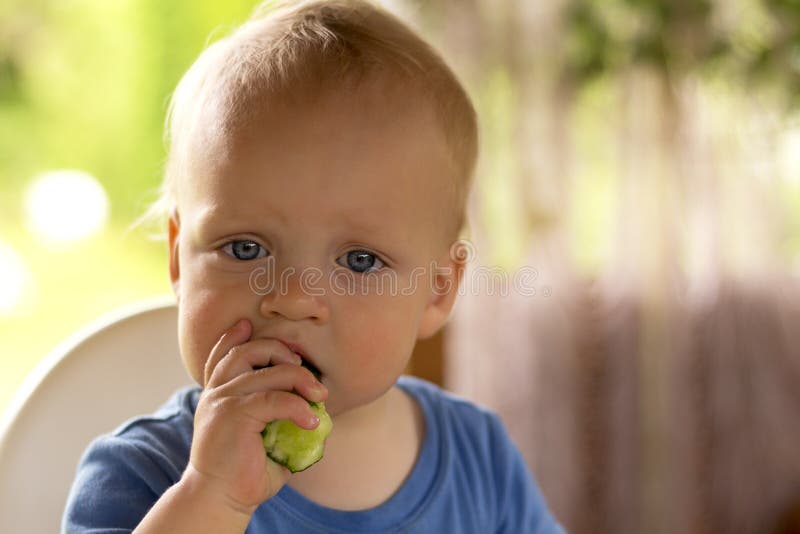 Serious Blue-eyed Infant Kid Eating Cucumber Stock Image - Image of ...