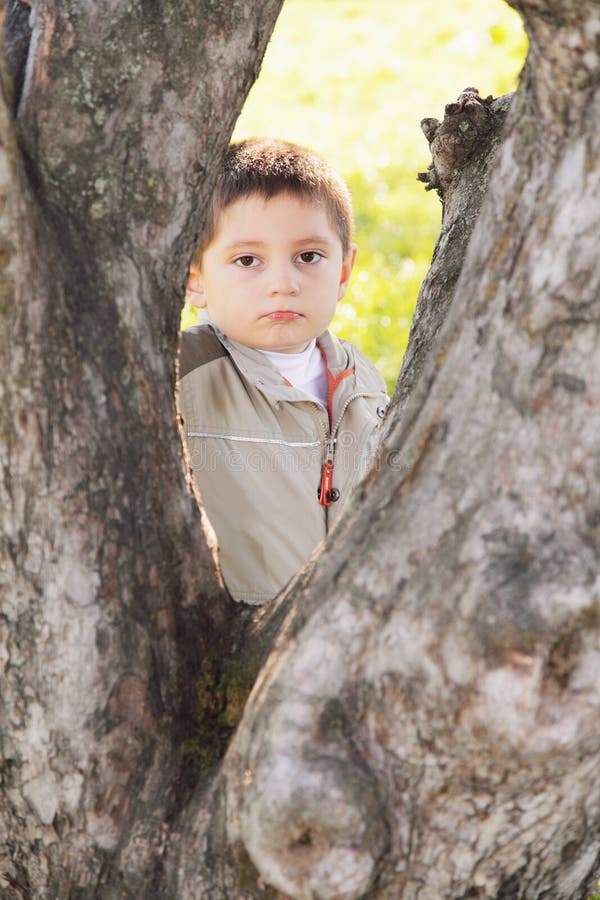 Serious boy behind tree stock photo. Image of tree, casual - 16250676