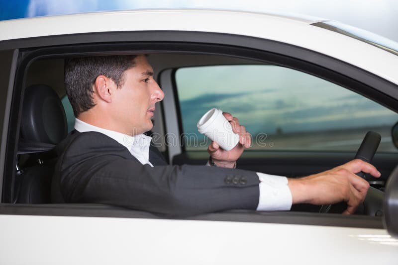 Serious Businessman Drinking Coffee while Driving Stock Image - Image ...