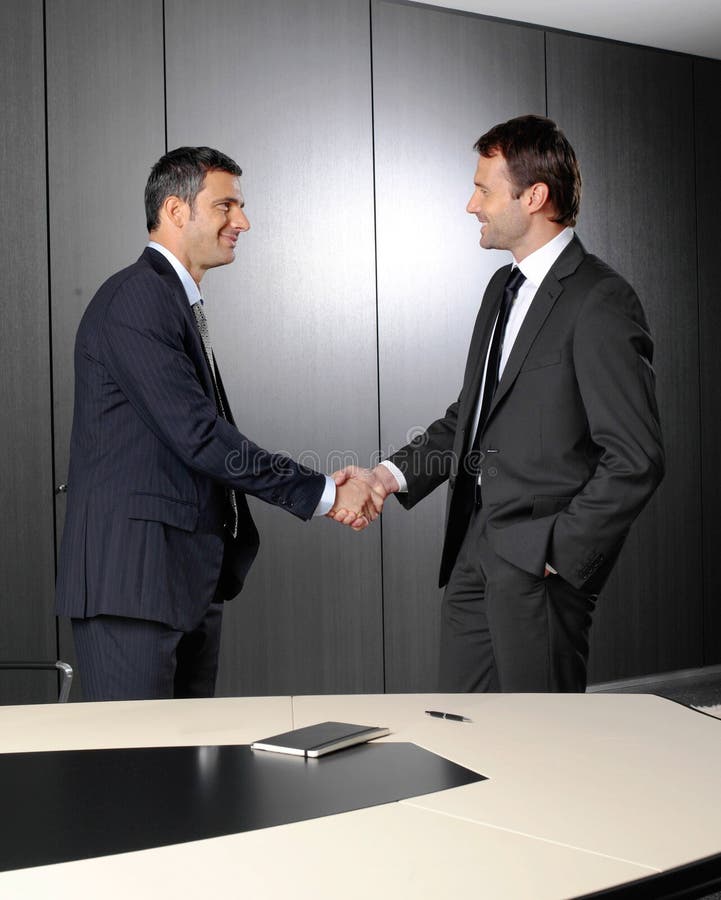 Serious Businessmen Shaking Hands Stock Photo - Image of professional ...