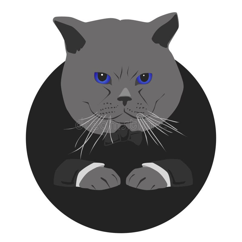 Serious Cat Stock Illustrations – 1,477 Serious Cat Stock Illustrations ...