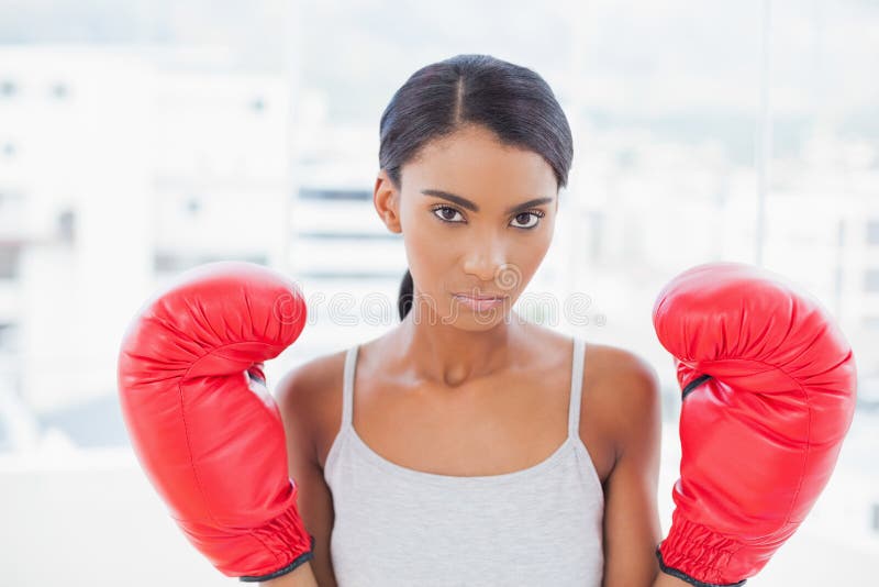 Serious Competitive Model Wearing Red Boxing Gloves Stock Image - Image ...