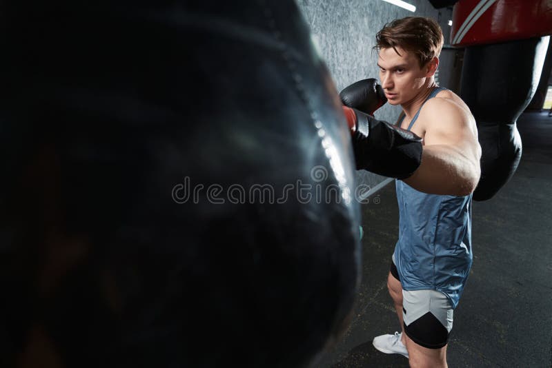 Concentrated Well-built Guy Practicing Punches at Gym Stock Photo ...
