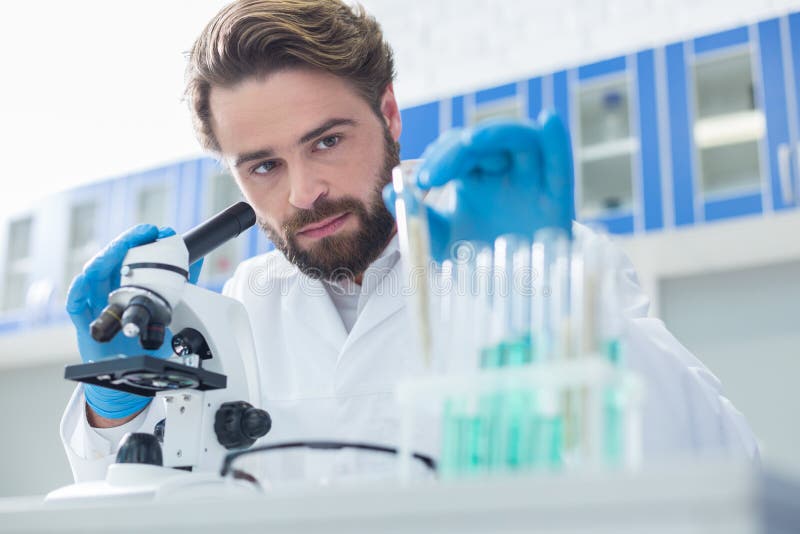 Serious Handsome Scientist Looking at the Test Tube Stock Image - Image ...