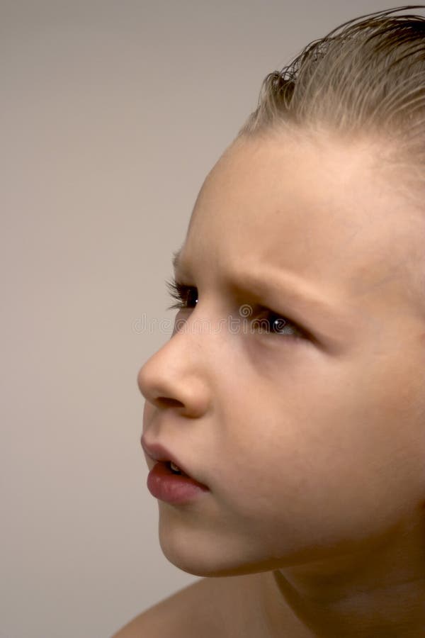 Serious look stock image. Image of bright, looking, portrait - 381127