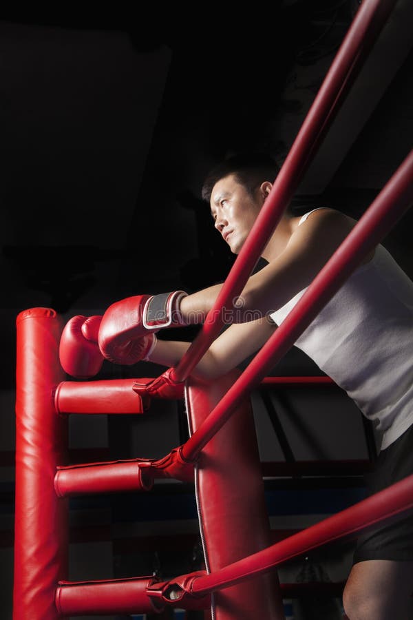 Tired Boxer Resting on the Ropes in Boxing Ring, Looking Up Stock Photo ...