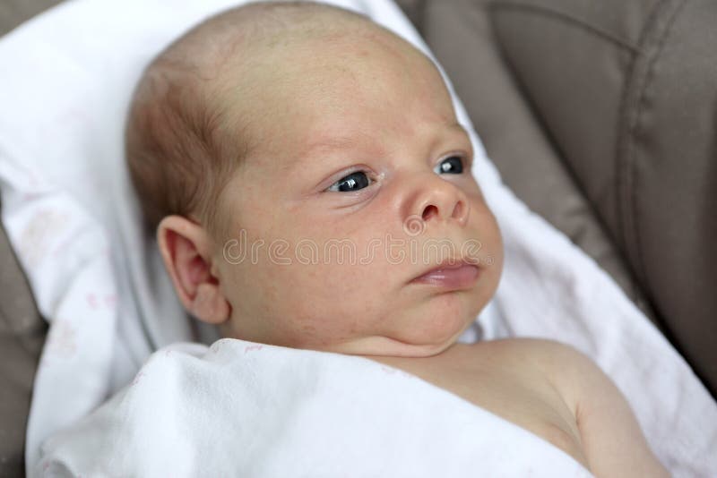 Newborn in bed stock image. Image of fragility, eyes - 19674043