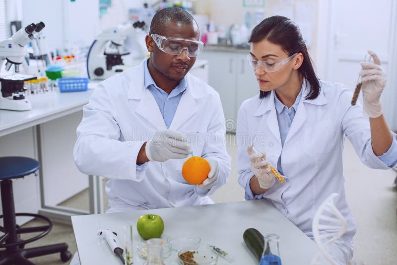 Serious Researchers Modifying Vegetables in the Lab Stock Image - Image ...