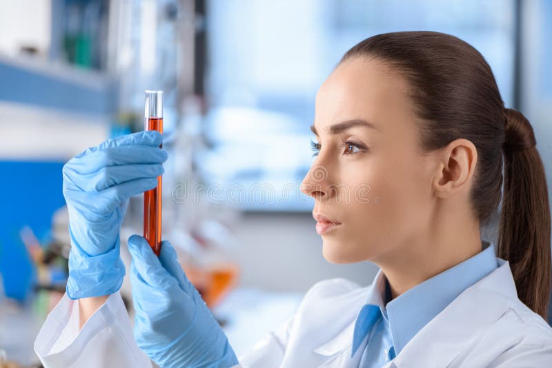 Serious Scientist Examining Laboratory Tube Stock Photo - Image of ...
