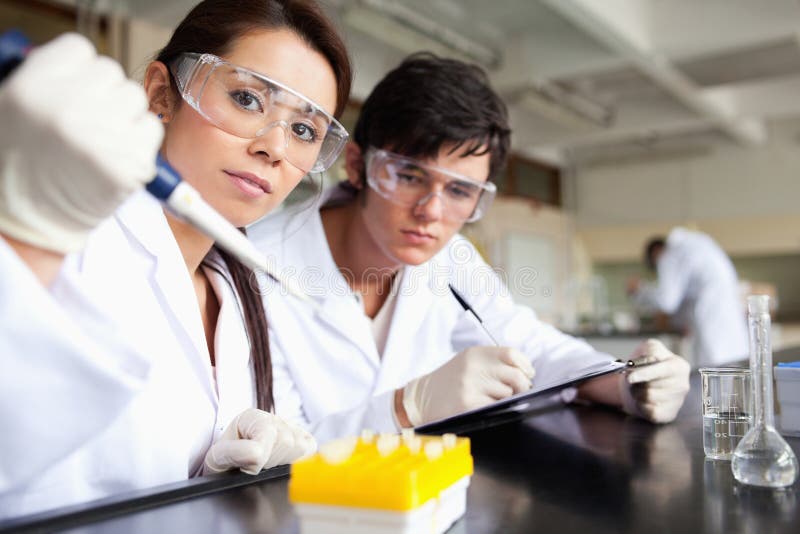 Serious Scientists Making an Experiment Stock Image - Image of glass ...