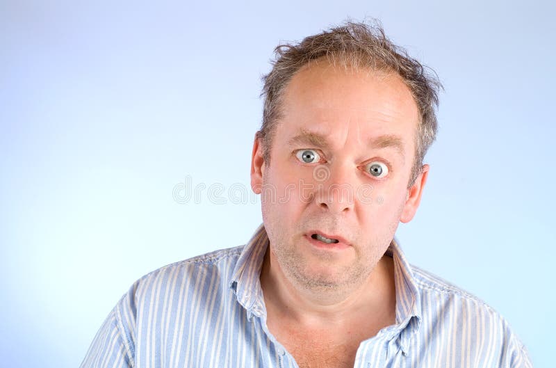 Scruffy Dog stock image. Image of cute, scruffy, background - 6727407