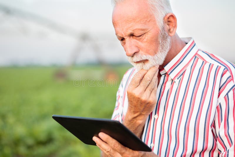 Serious Senior Woman Looking at Family Photos with Her Daughter in ...