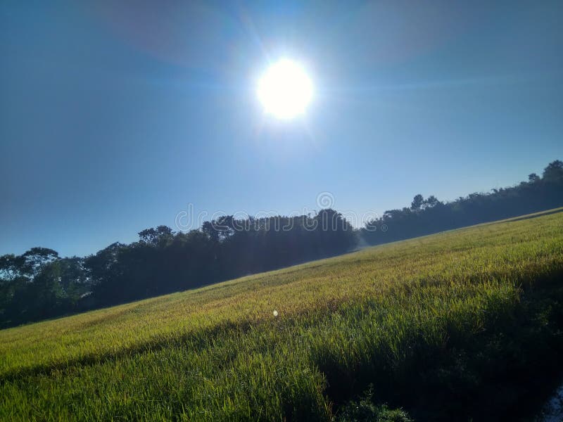 Serious Sun stock photo. Image of everyday, serious, bright - 82675390