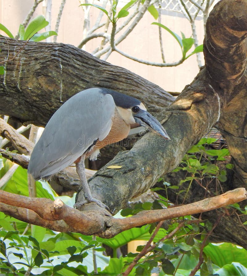 Pooka2511 - Photographer profile