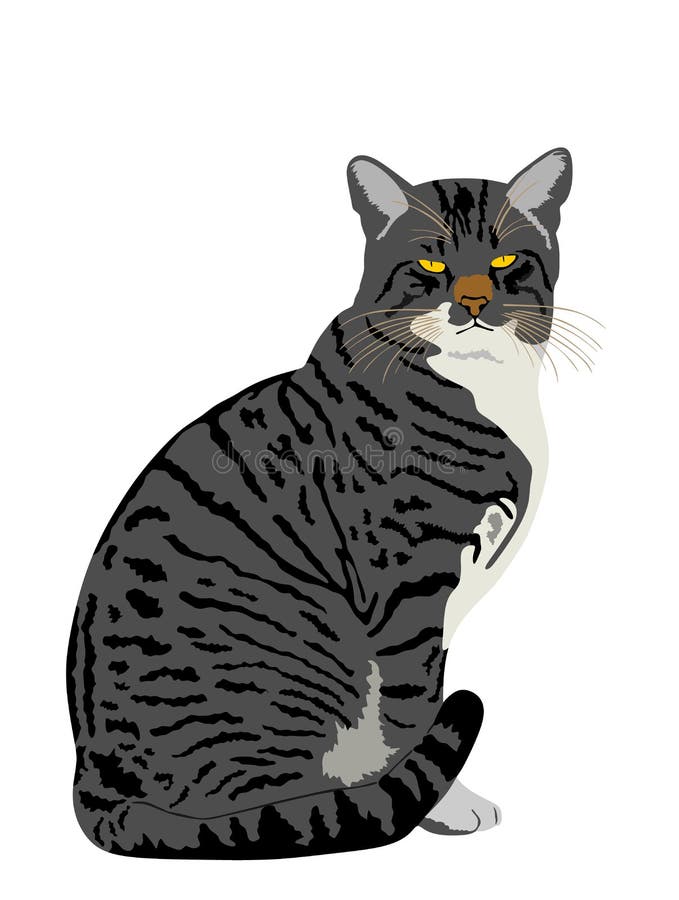 Serious Cat Vector Stock Illustrations – 626 Serious Cat Vector Stock ...