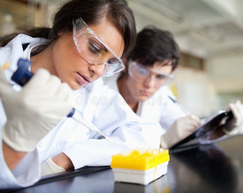 Scientists Working in a Laboratory Stock Photo - Image of chemical ...