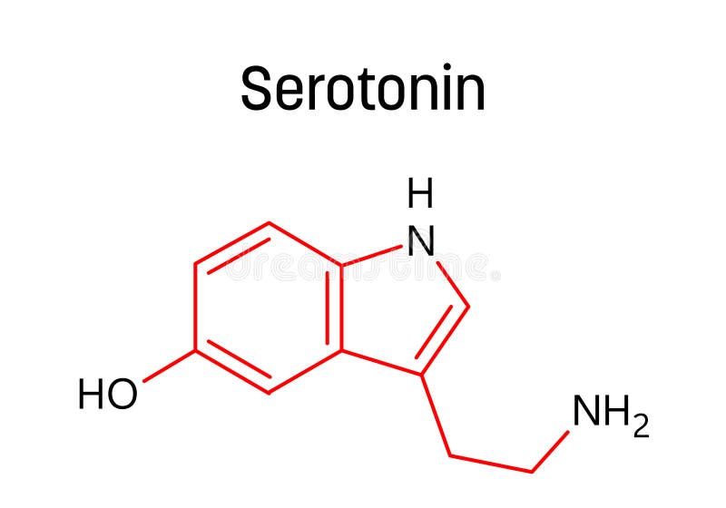 Serotonin Structural Formula of Molecular Structure Stock Vector ...