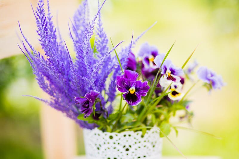 Serovie Flowers Stock Photos - Free & Royalty-Free Stock Photos from ...