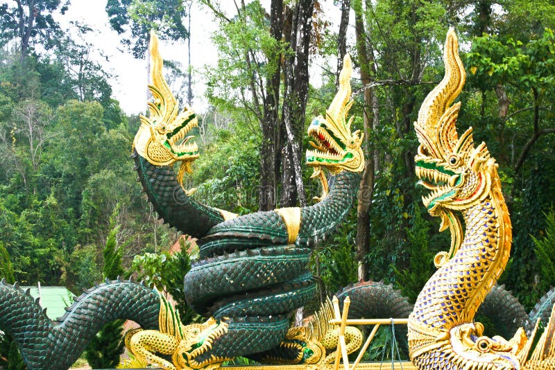 Serpent stock image. Image of buddhism, power, isolated - 20097373