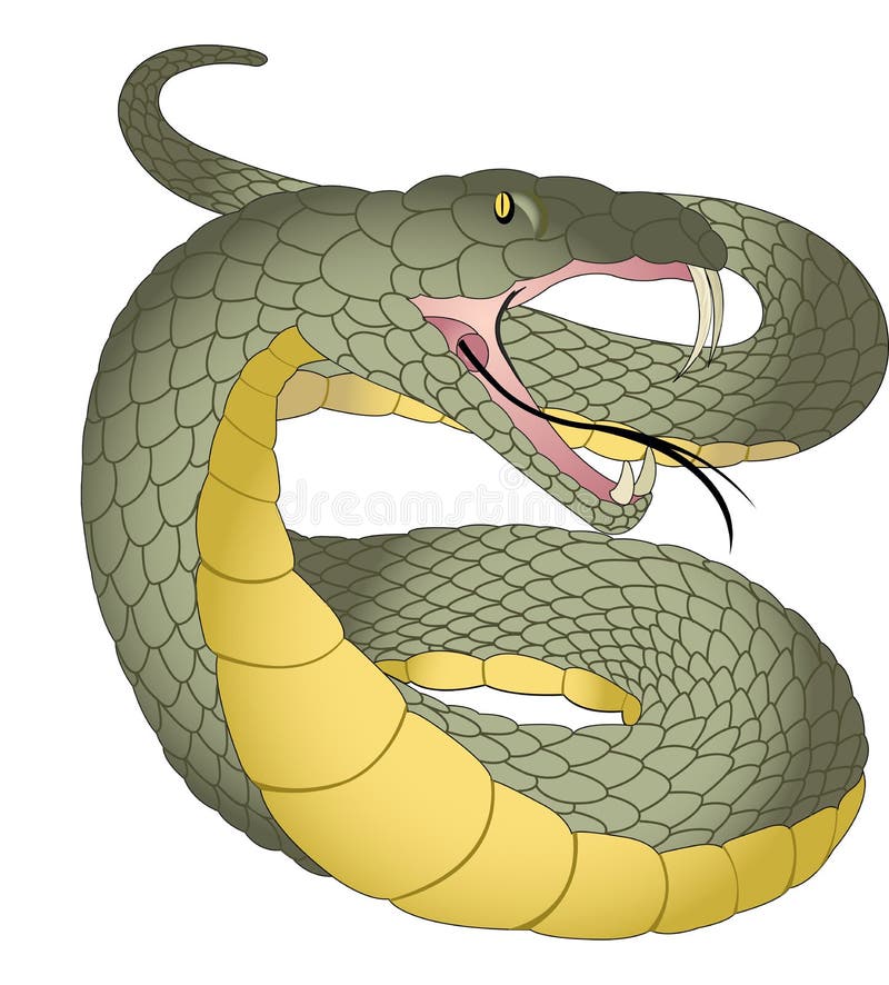 Serpent, illustration illustration de vecteur. Illustration du vert ...