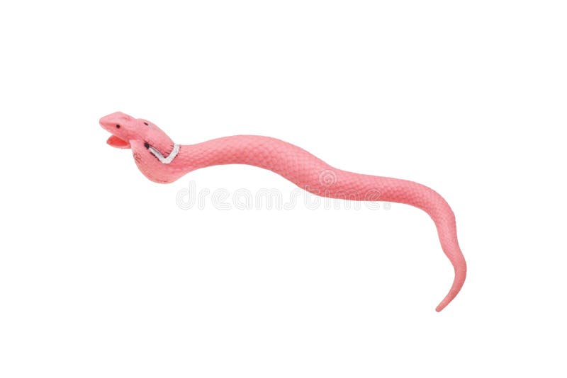 Serpente Cor-de-rosa Do Brinquedo Foto de Stock - Imagem de fundo, nave ...