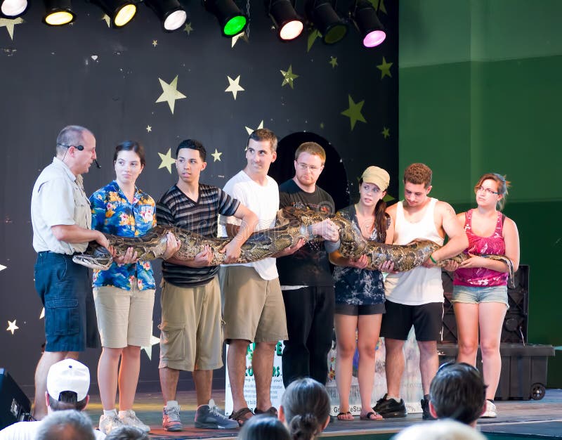 Escultura Gigante Da Serpente Imagem de Stock - Imagem de enorme ...