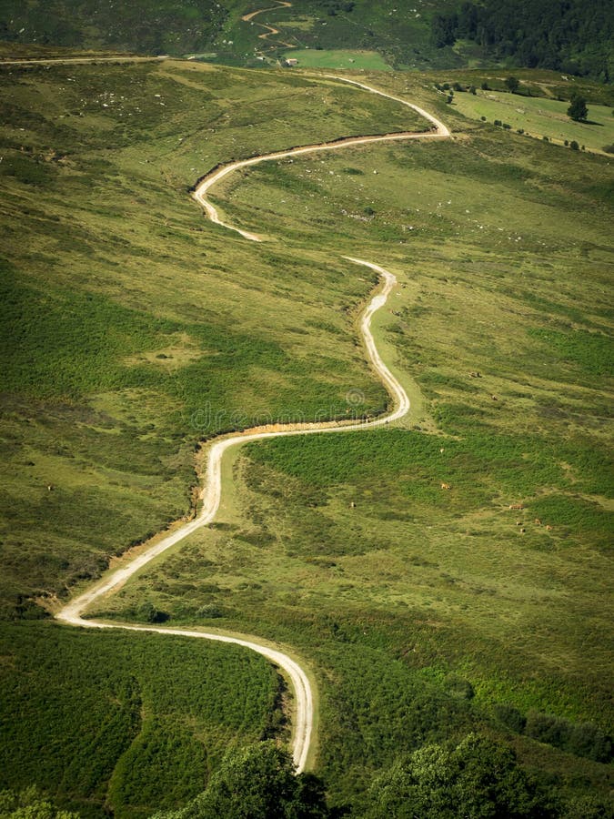 Serpentine Road between Green Fields Stock Image - Image of path ...