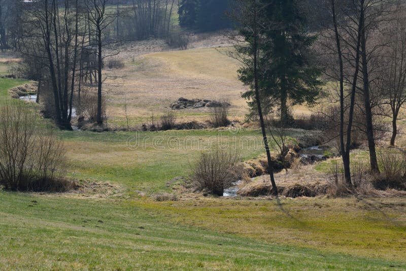 Serpentine stream - spring stock image. Image of creek - 76890845