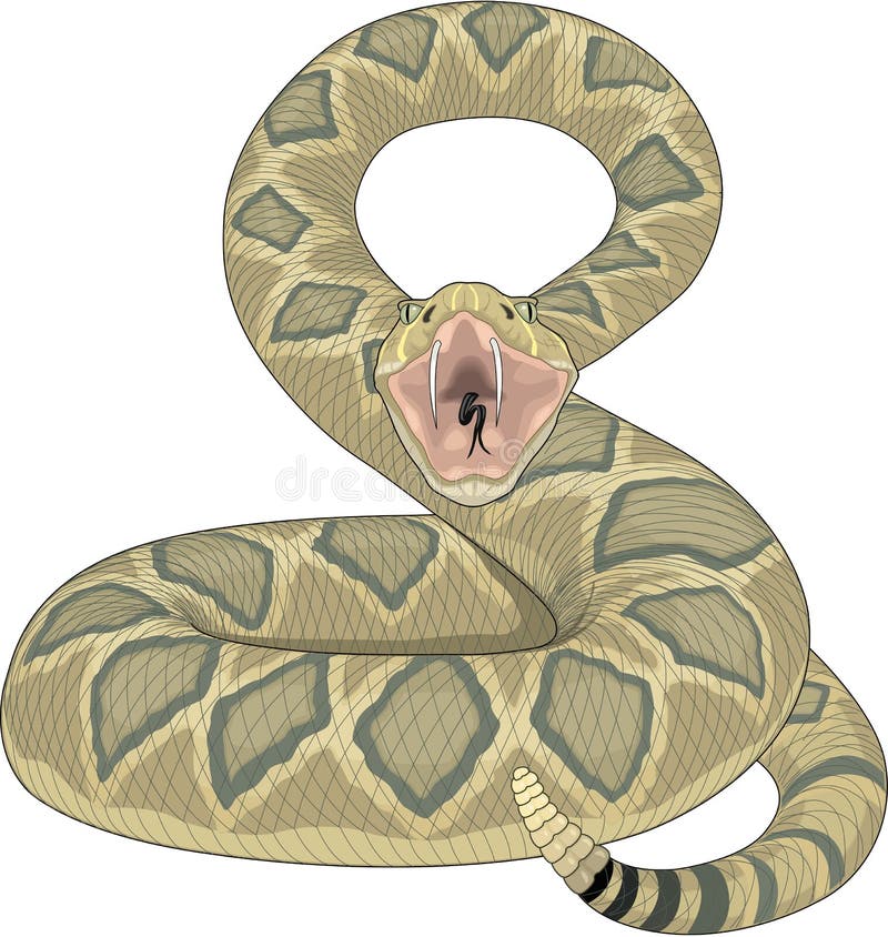 Ejemplo Del Vector De La Serpiente De Cascabel Ilustración del Vector ...