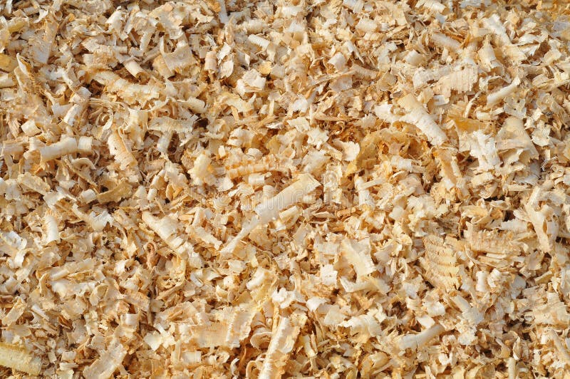Serrín de madera foto de archivo. Imagen de material - 26187428