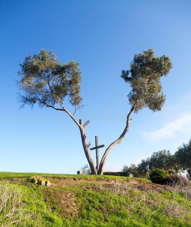 Serra Cross in Ventura California between Trees Stock Photo - Image of ...