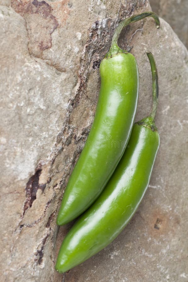 Serrano Pepper stock photo. Image of produce, green, food - 6448194
