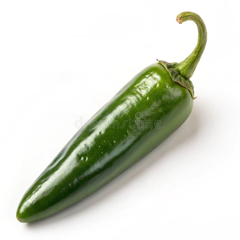 Serrano Pepper Realistic Vegetable Isolated Stock Illustration ...