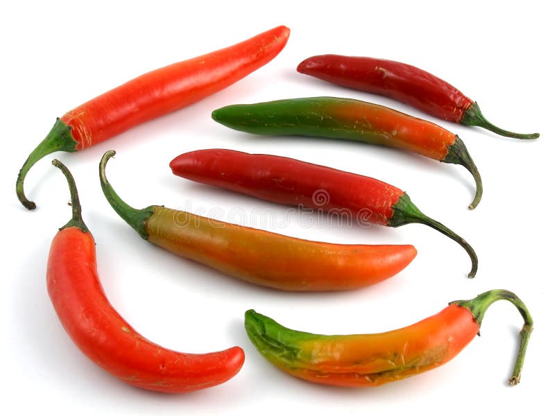 Serrano peppers stock photo. Image of painful, scoville - 376110