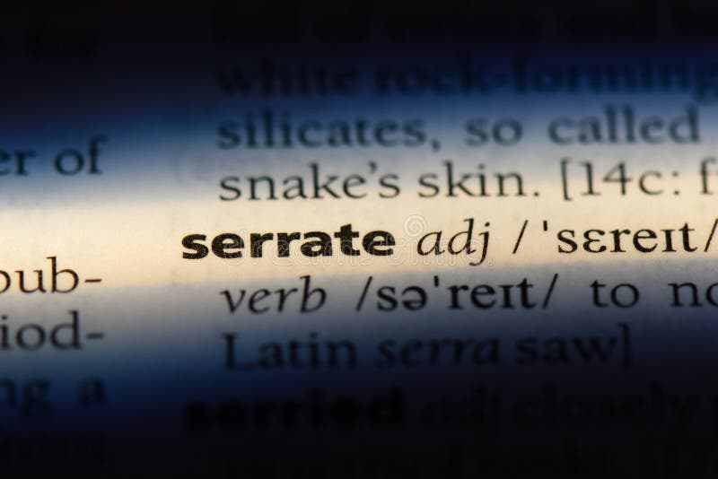 1,766 Serrate Stock Photos - Free & Royalty-Free Stock Photos from ...