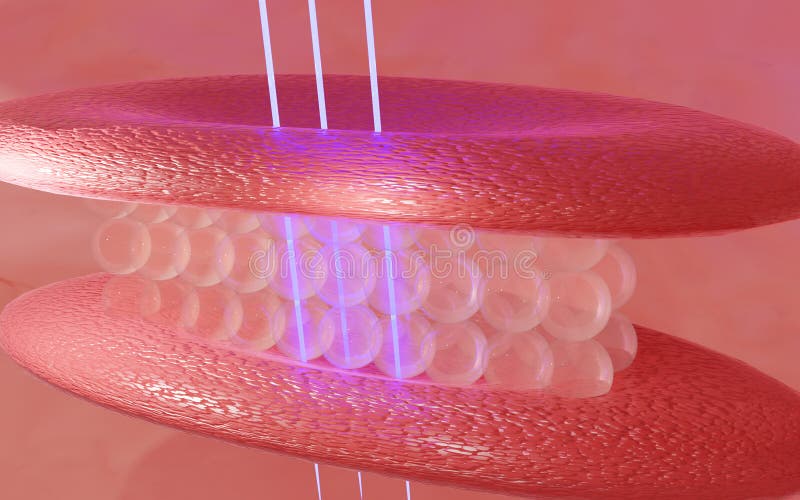 Serum and Vitamin Drop on Skin Cell. Stock Illustration - Illustration ...