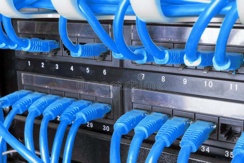 Server Rack with Blue Cables Stock Image - Image of jack, cat5: 81067963