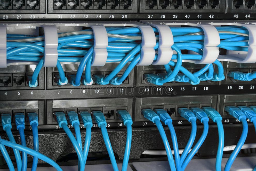 Server Rack with Blue Internet Patch Cord Cables Stock Image - Image of ...