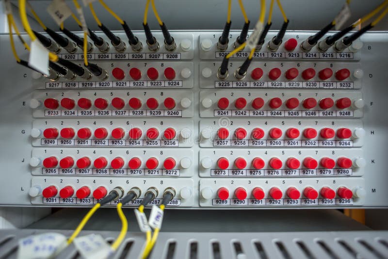 Server Rack with Red Internet Patch Cord Cables Connected To Patch ...