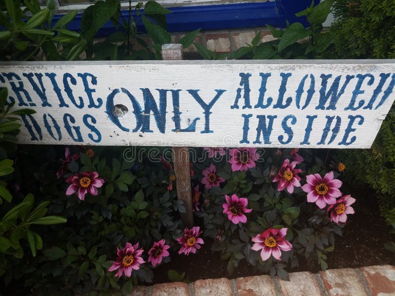Service Dogs only Allowed Inside Sign and Flowers Stock Photo - Image ...