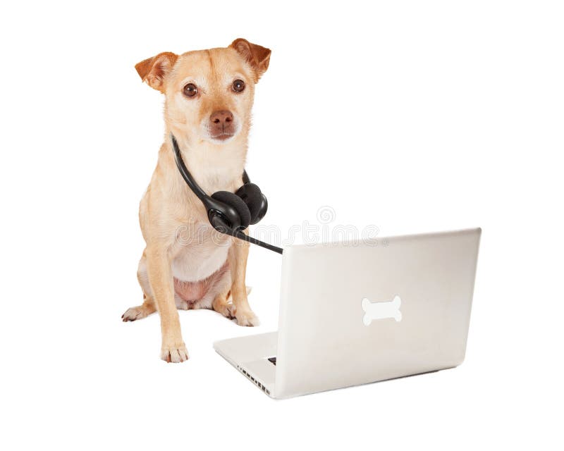 Servicio De Cliente Empresa Del Perro Imagen de archivo - Imagen de ...
