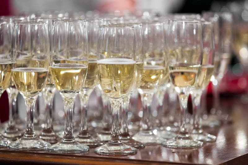 Serving stock photo. Image of restaurant, luxury, celebrate - 19686420