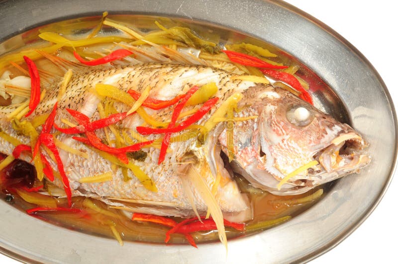 Serving of Steam Fish stock photo. Image of gourmet, food - 16855386