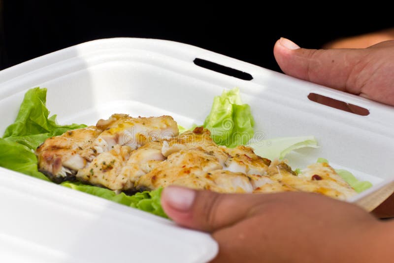 Serving tench stock image. Image of fried, serve, delicacy - 20526767