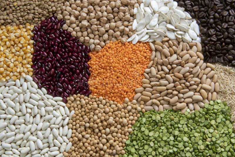 Fiber source examples stock image. Image of abundance - 227615269