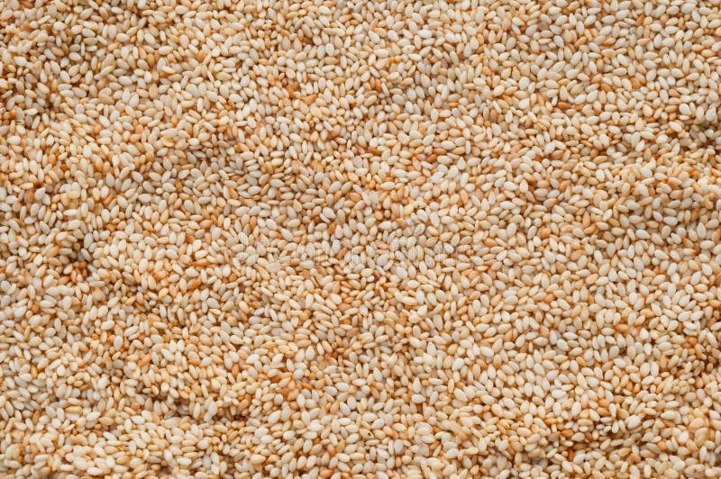 Sesame stock photo. Image of crop, fresh, delicacy, element - 23753032
