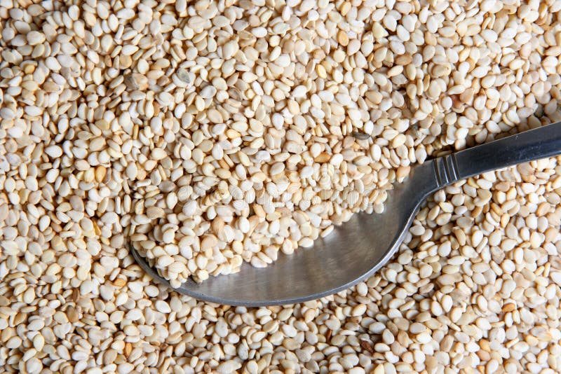 Sesame stock photo. Image of seed, meal, metal, spoon - 4075116