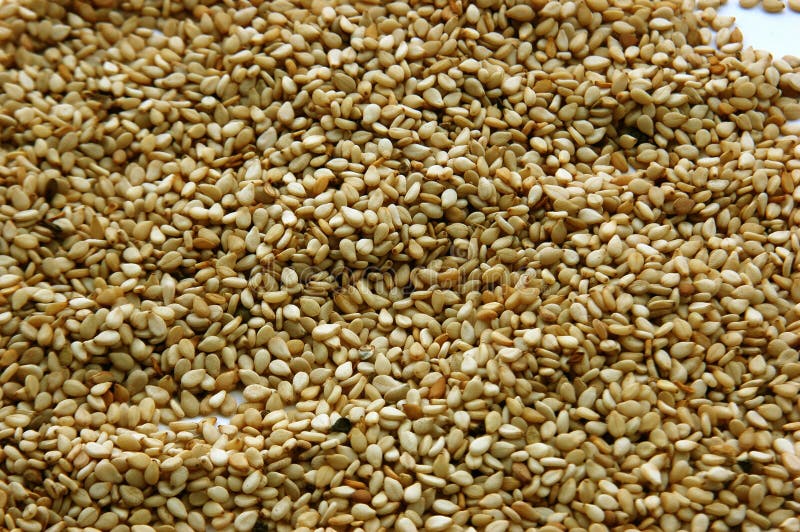 Sesame Free Stock Photos & Pictures, Sesame Royalty-Free and Public ...